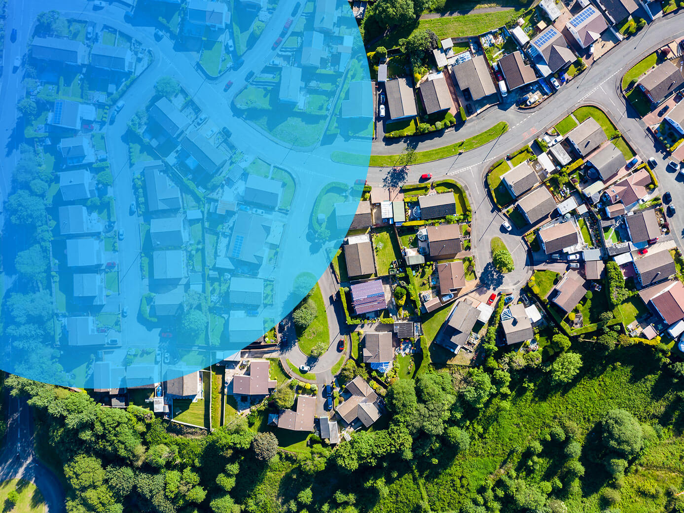 Maximize the impact of your brand campaigns - Lucid Measurement